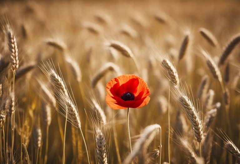 What Does Ruth Symbolize in the Bible? The Hidden Significance